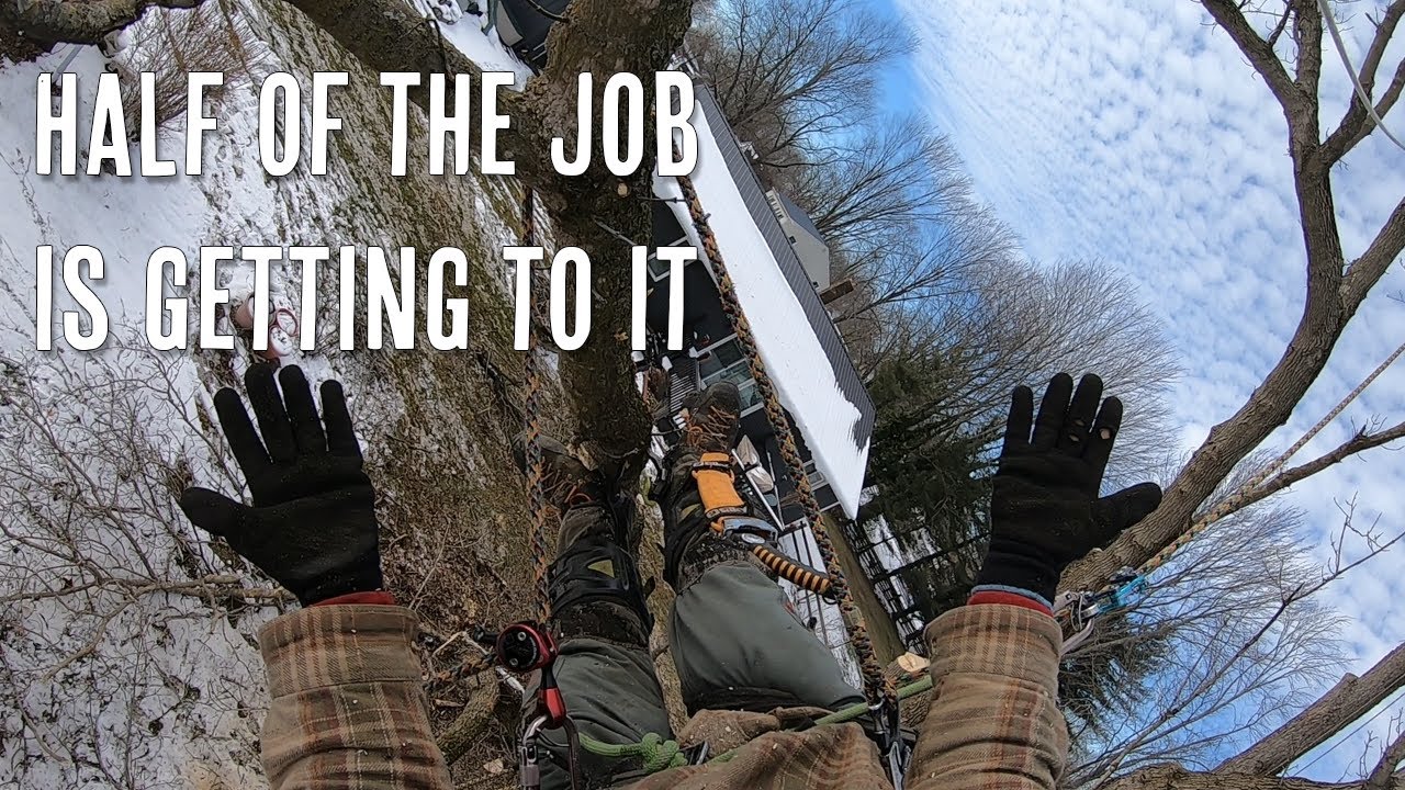 How I Move Around the Tree - YouTube