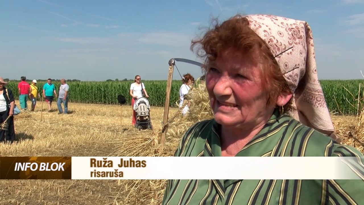 Najbrži risarski par i ove godine su Ruža Juhas i Marinko Kujundžić ...