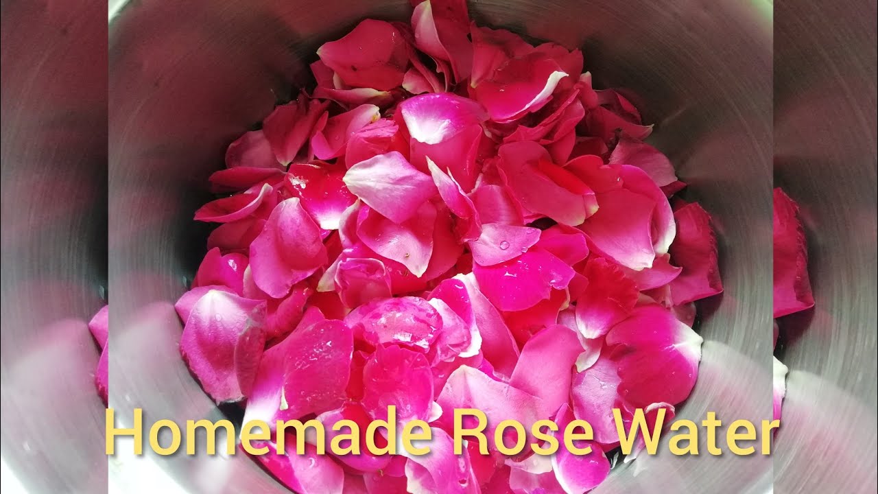 DIY Rose Water With Steam Distillation Process II Toner For All Skin ...