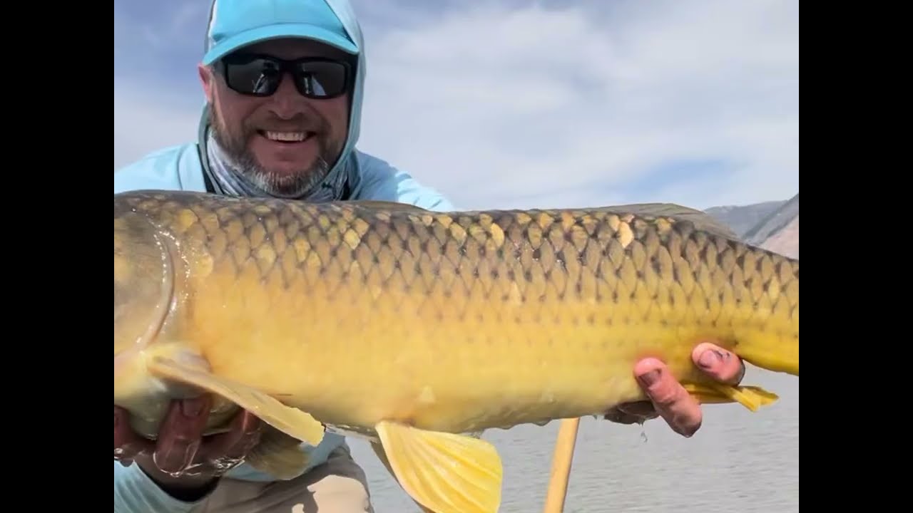 Utah Carp Flats on the Fly - Carp Fly Fishing - YouTube