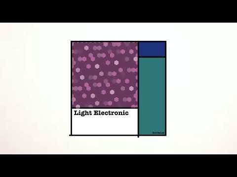 Kevin MacLeod - Cipher