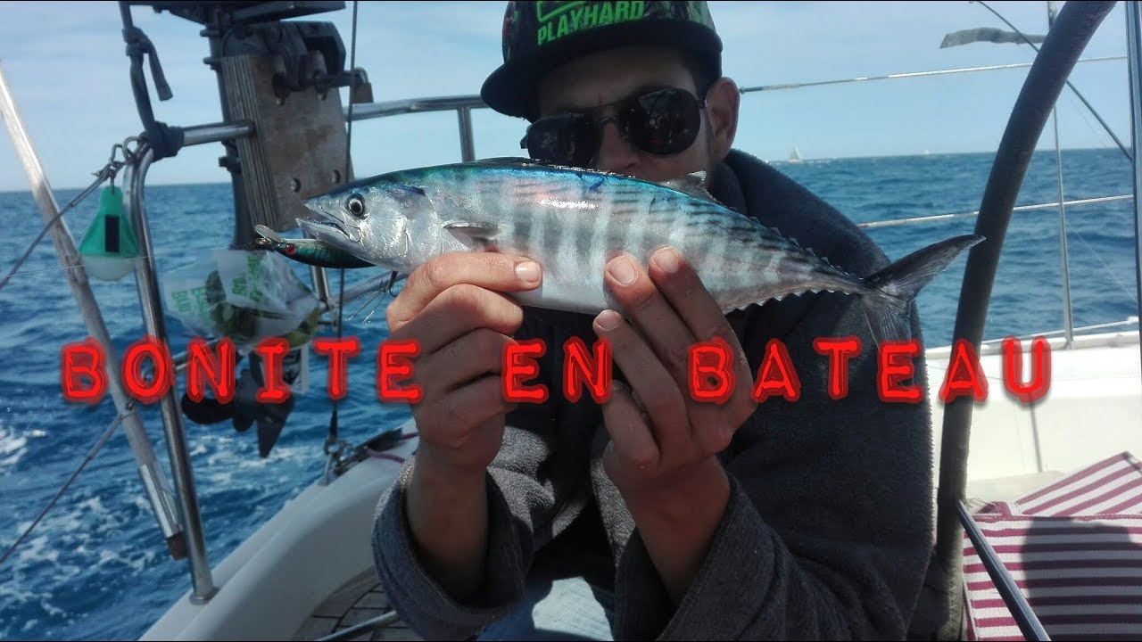 Pêche de la bonite a la traine FISH ON - YouTube