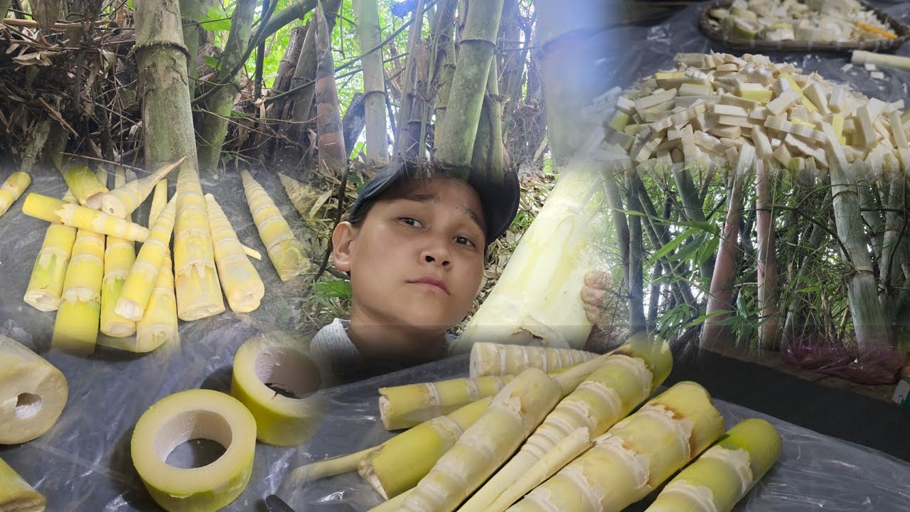 How to make Bamboo Pickle in Bhutanese style - YouTube