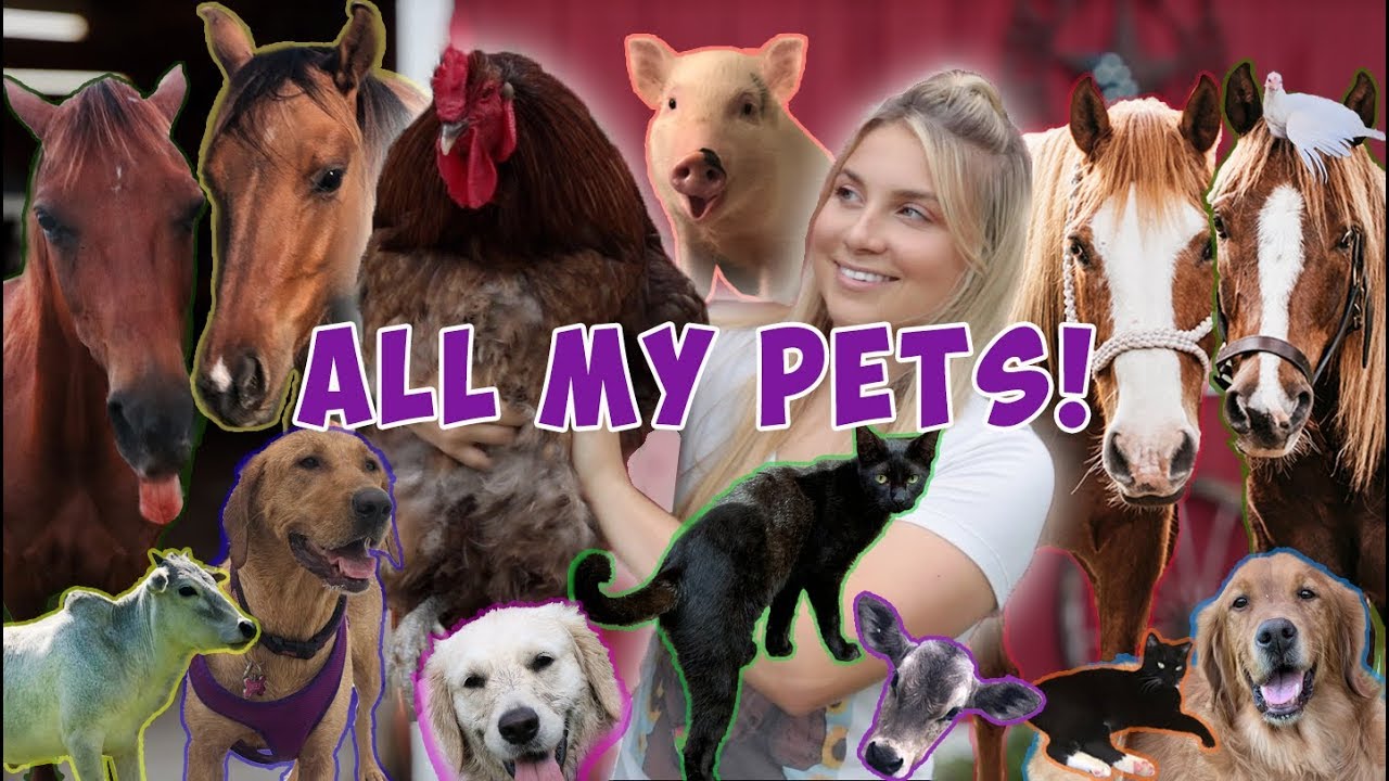 MEET ALL MY PETS!! | 59 Pets! - YouTube