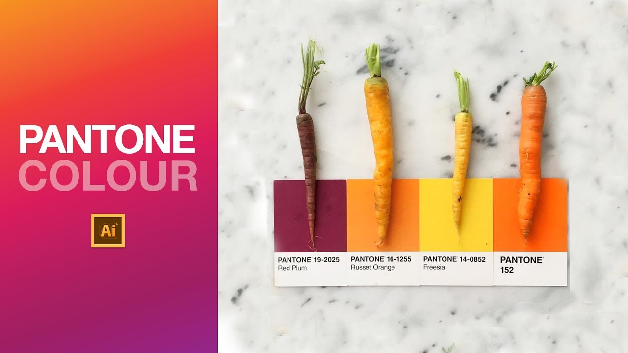 How To Convert Your LOGO To PANTONE (Illustrator Tutorial) - YouTube