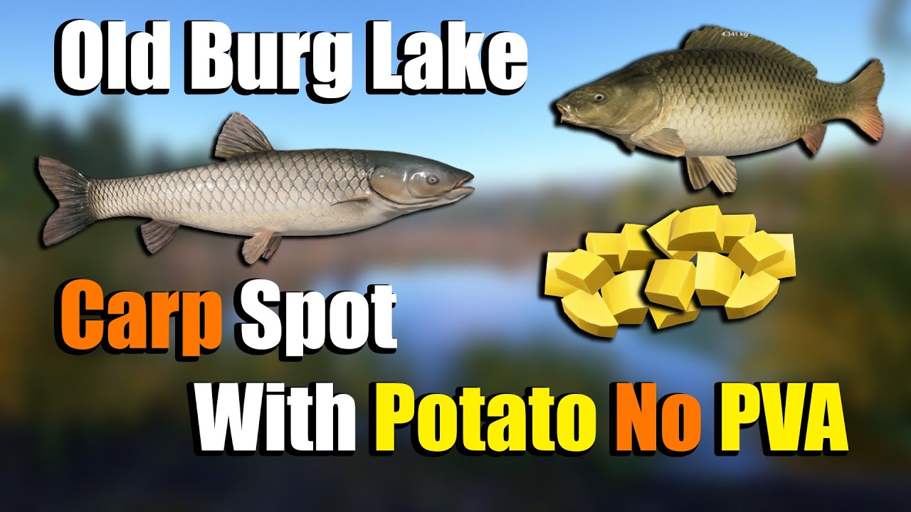 🎣Russian Fishing 4 RF4 - Old Burg Lake Carp Spot With Potato No PVA#224 ...