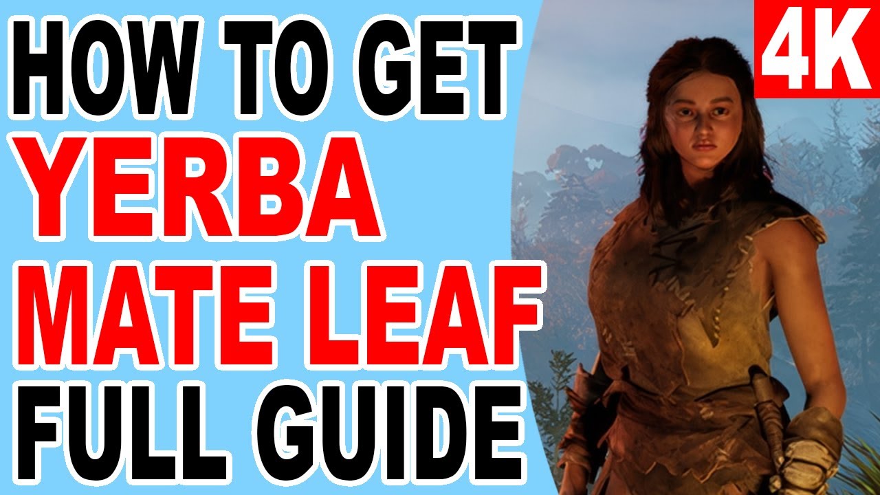 How to Get Yerba Mate Leaf and Yerba Mate Farm Location - Soulmask ...
