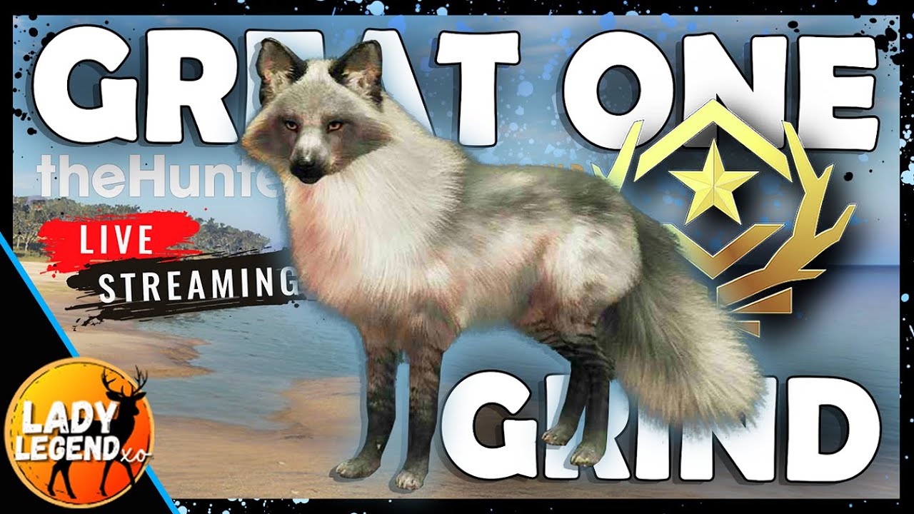 2,865 MALES into the Great One FOX GRIND - LIVE!!! - YouTube