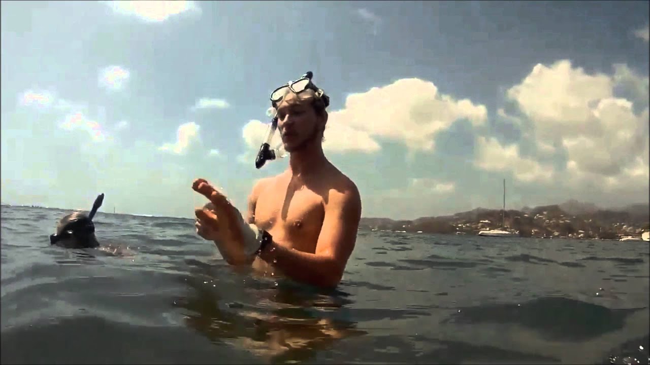 Canash Beach Afternoon Snorkel HD - YouTube