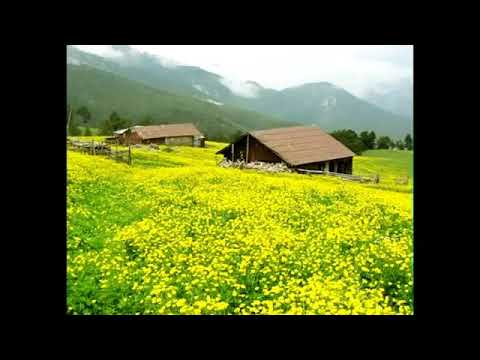 Güzel türküler çambaşına çıktım