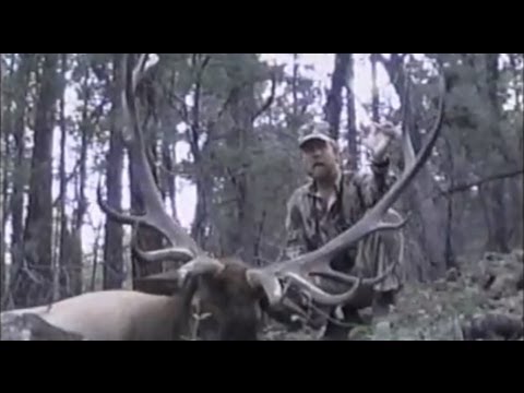Elk Hunting on the White Mountain Apache Reservation - Paul Crump ...