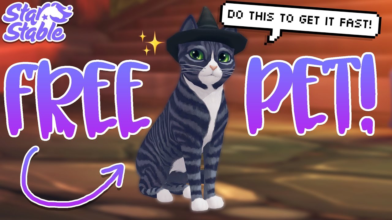 GET *FREE* CAT PET IN STAR STABLE *NOW!* 🐈 - YouTube