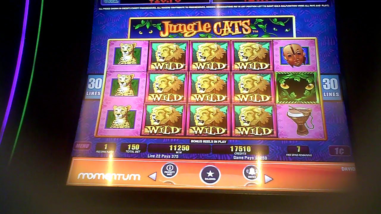 Jungle Cats Slot Machine Bonus - YouTube