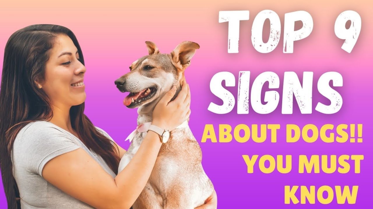 TOP 9 SIGNS👍👍#dogs #pets #cuteanimals #petcareprovider #petloversunite ...