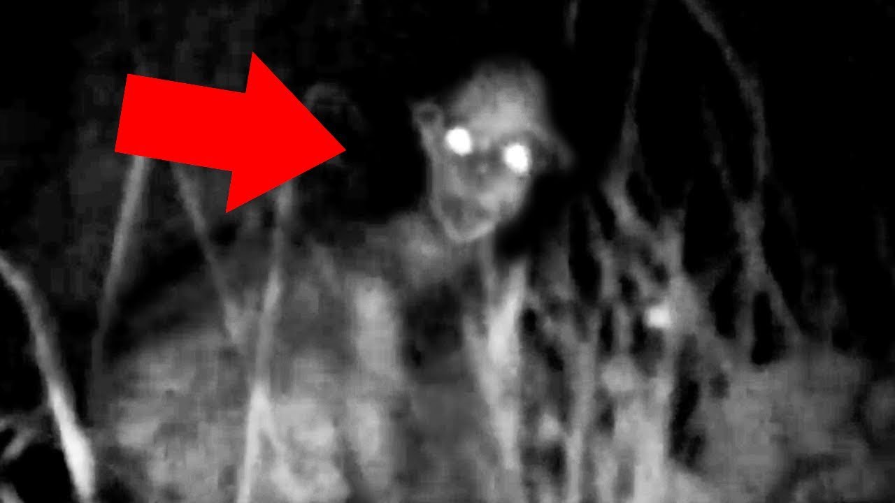 5 Mysterious Creatures Caught On Camera : Top 5 STRANGE Creatures - YouTube
