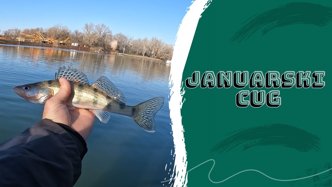 Januarski cug. / Zander fishing in january. - YouTube