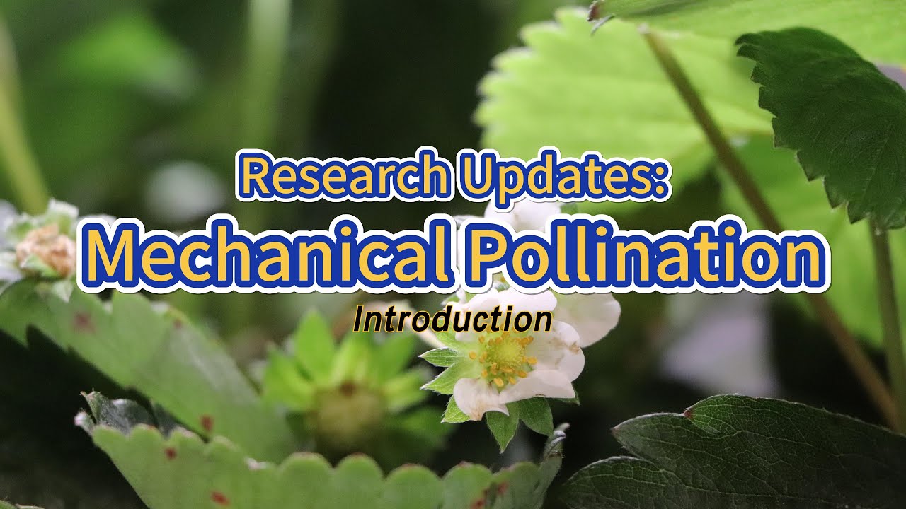 Next-Gen Strawberry Pollination: A Mechanical Approach - YouTube