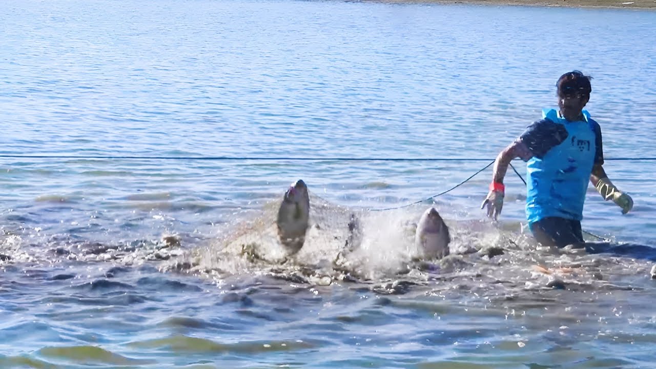 Real moment of fishing in northern Iran | Fishermen's life in the ...