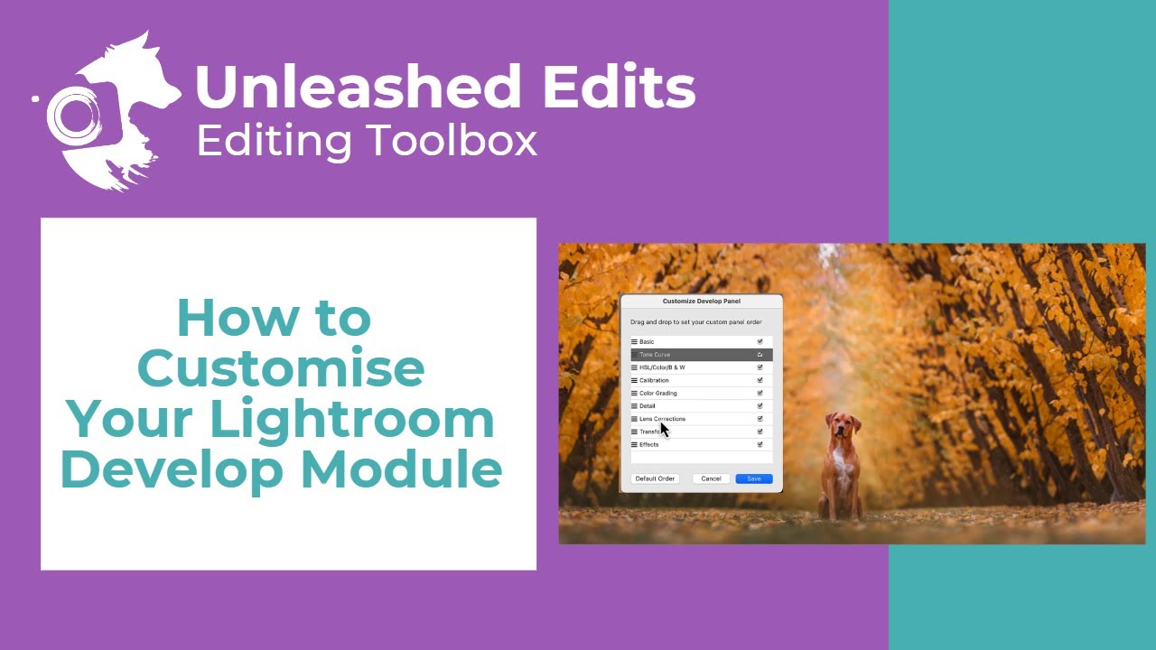 How to Customise your Lightroom Develop Module - Dog Photography ...
