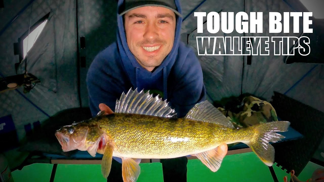 Catch Walleyes When the Bite is TOUGH (ft. @tjericksonfishing 🔨) - YouTube