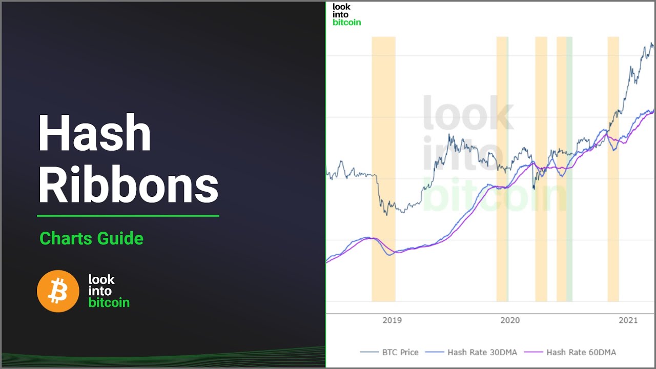 Bitcoin Hash Ribbons Indicator - YouTube