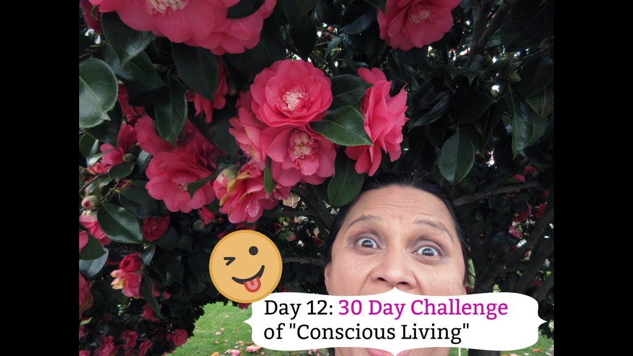 Day 12: 30 Day Challenge of "Conscious Living" - YouTube