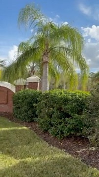 Florida mùa thu cây cũng đổi màu😁 - YouTube