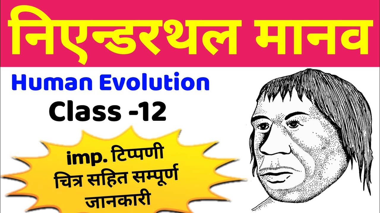 निएन्डरथल मानव (Neanderthal Man) | human evolution class 12 | manav ...