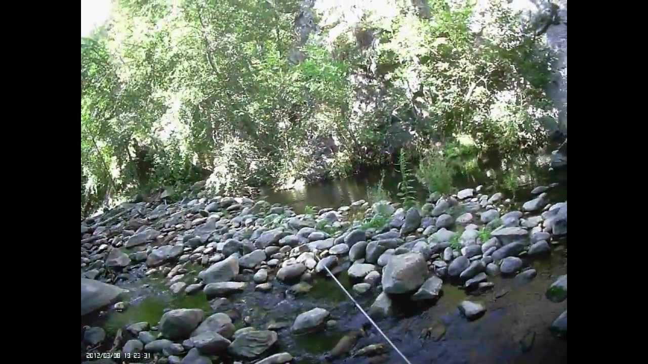 West Fork San Gabriel Trout Fishing - YouTube