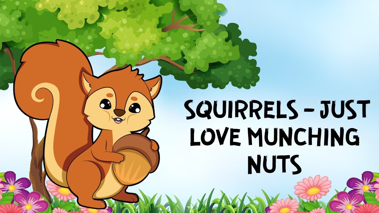 ALL ABOUT SQUIRRELS FOR KIDS | SQUIRRELS - JUST LOVE MUNCHING NUTS ...