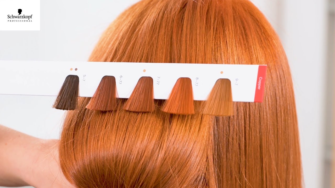 Schwarzkopf Igora Royal Color Chart Pdf Free - Infoupdate.org