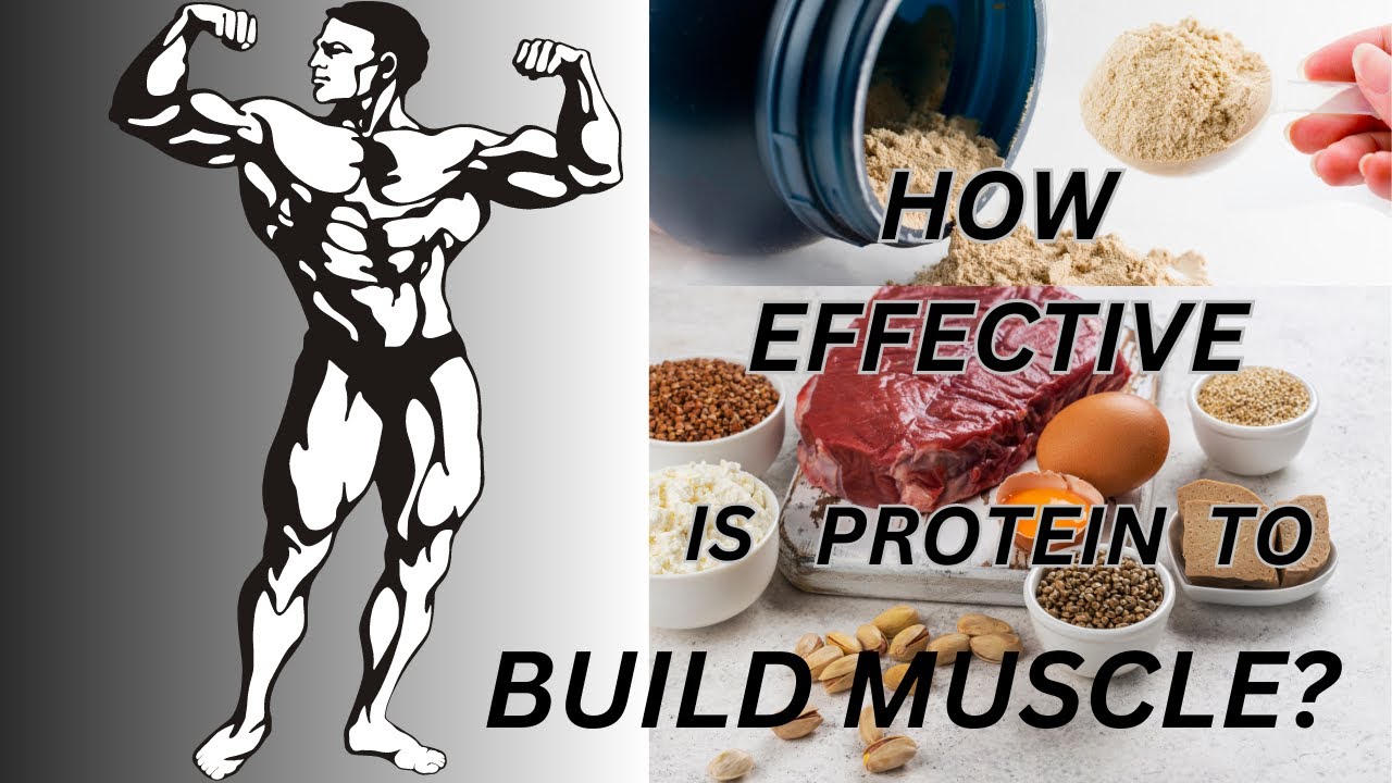 How effective is protein to BUILD MUSCLE? - YouTube