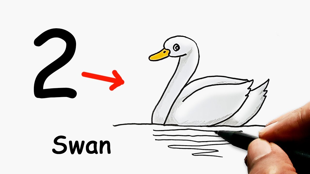 Swan Drawing Very Easy | How To Draw a Swimming Swan After Writing ...