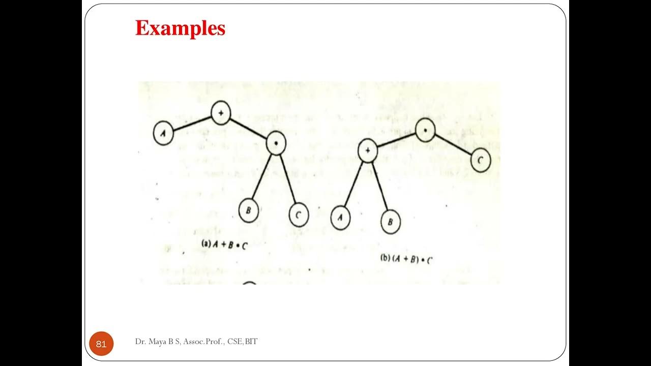 Trees and Its application - Data Structure using C - YouTube