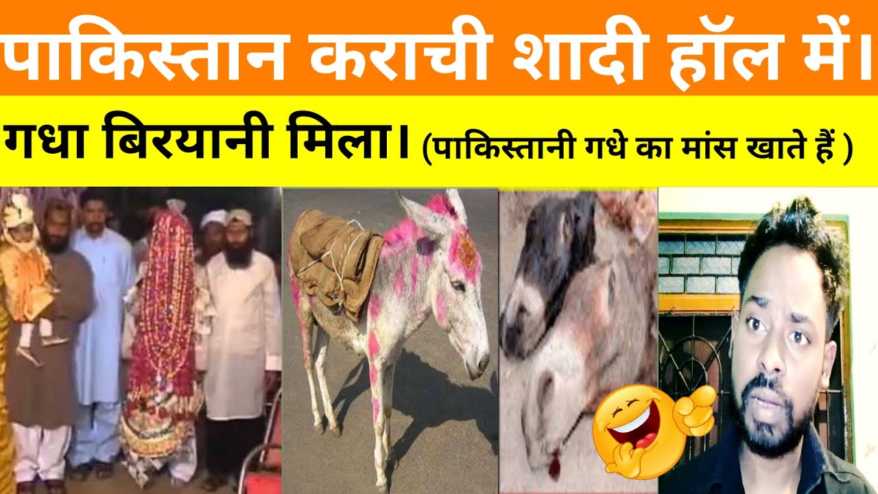 Donkey Meat is being served in Shadi Hall? | Illegal Slaughter House in ...