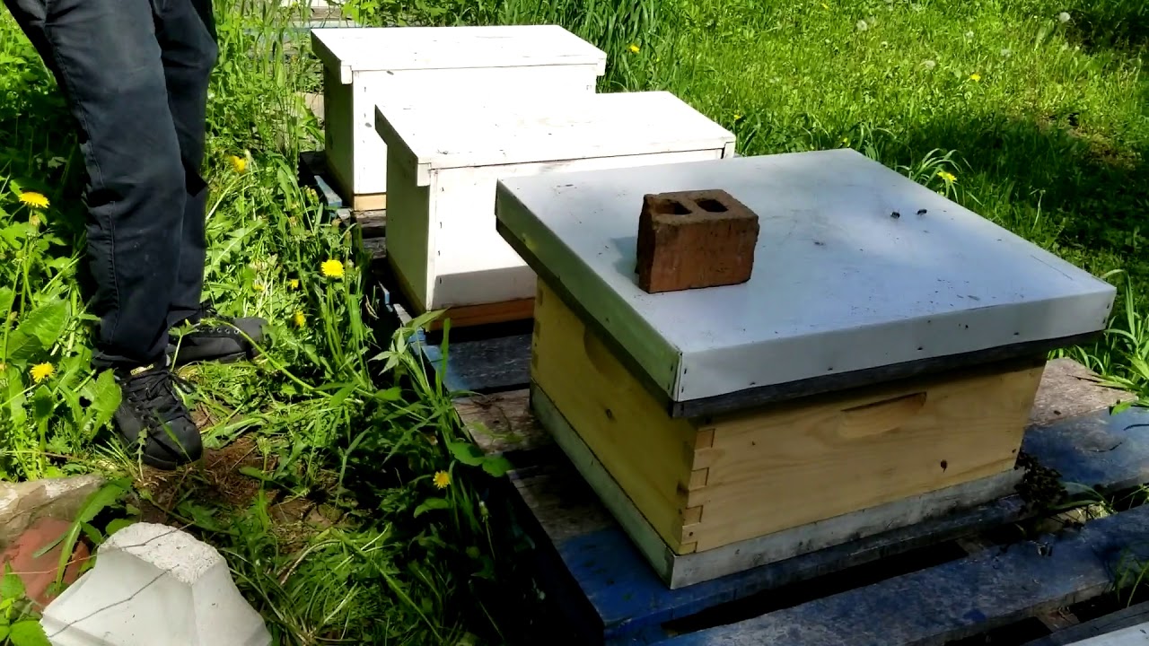 How to make a walk-away split - YouTube