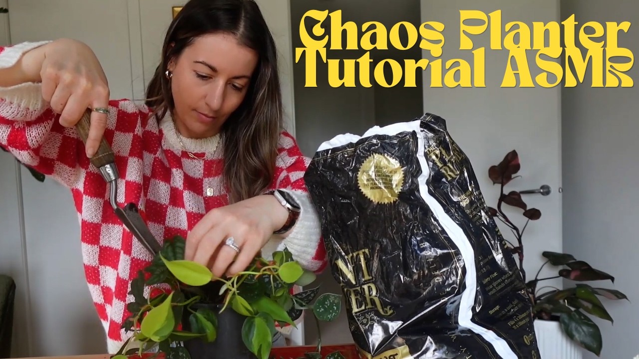 Potting Monstera Philodendron + Pothos Water Propagations Together in ...