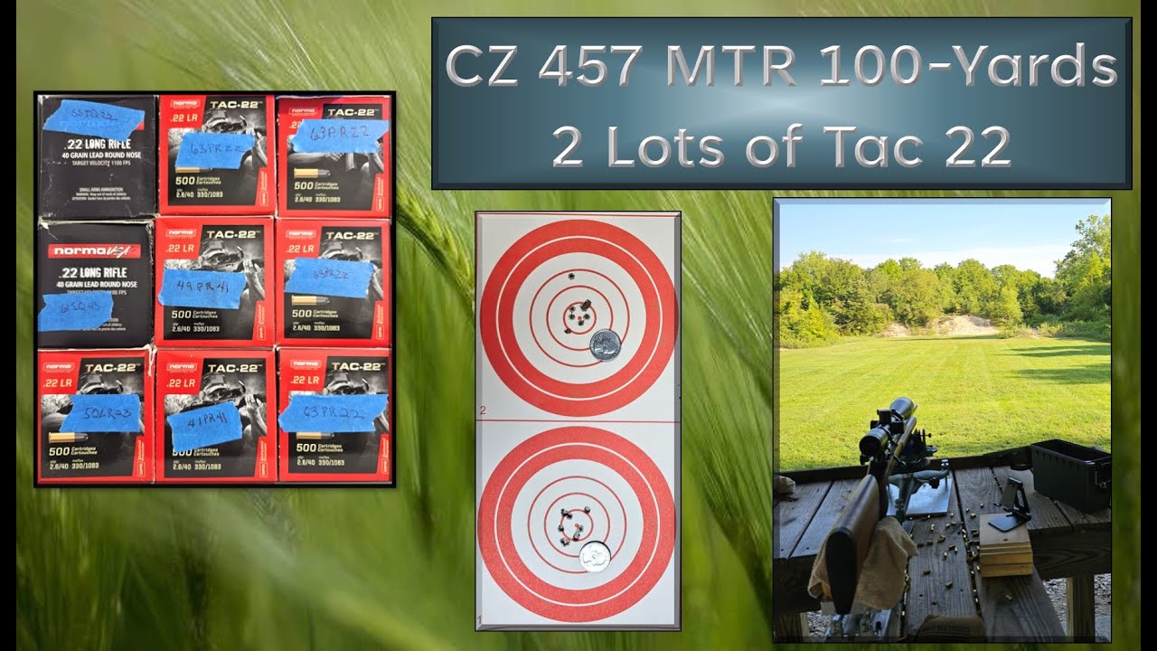 Example Of Lot Variations Impact On Performance At 100 Yards CZ 457
