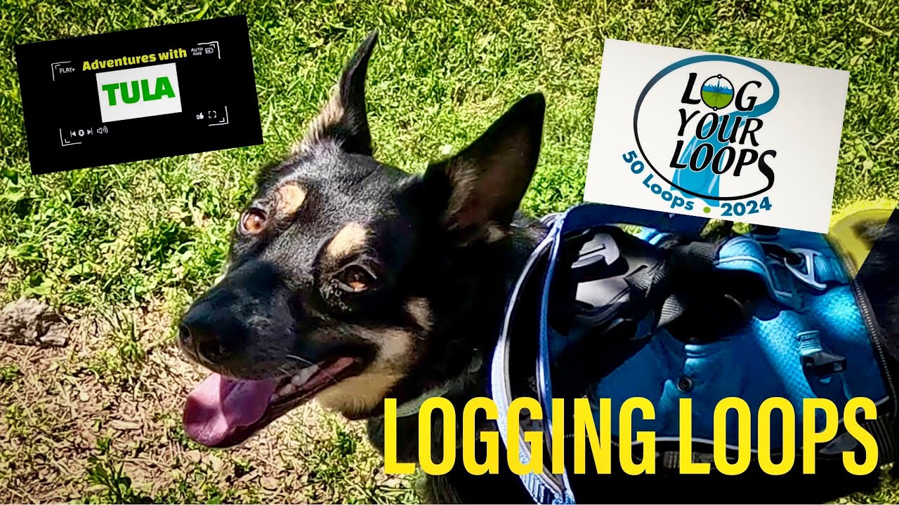 Logging Loops with Tula Bean !!! 🐾 LOOP #7 - YouTube