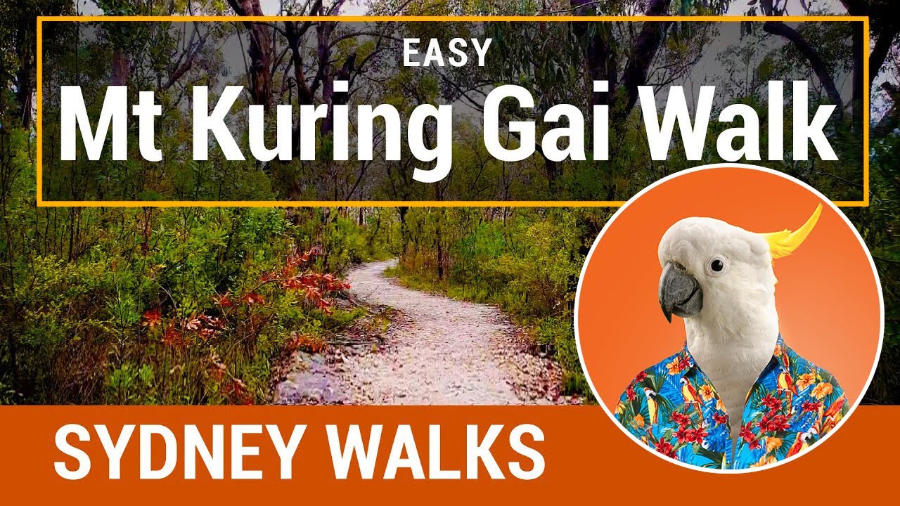 MT KURING GAI Track - Easy! - YouTube