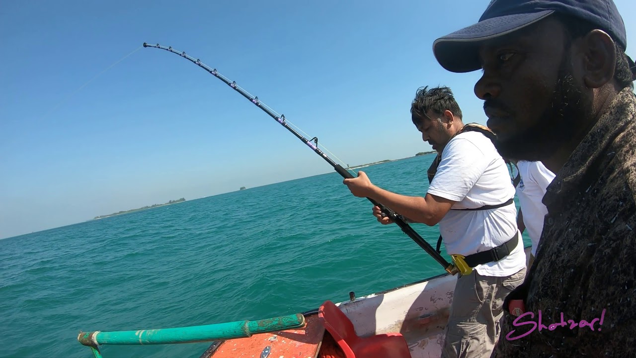 Unusual Catch while trolling for game fish - YouTube