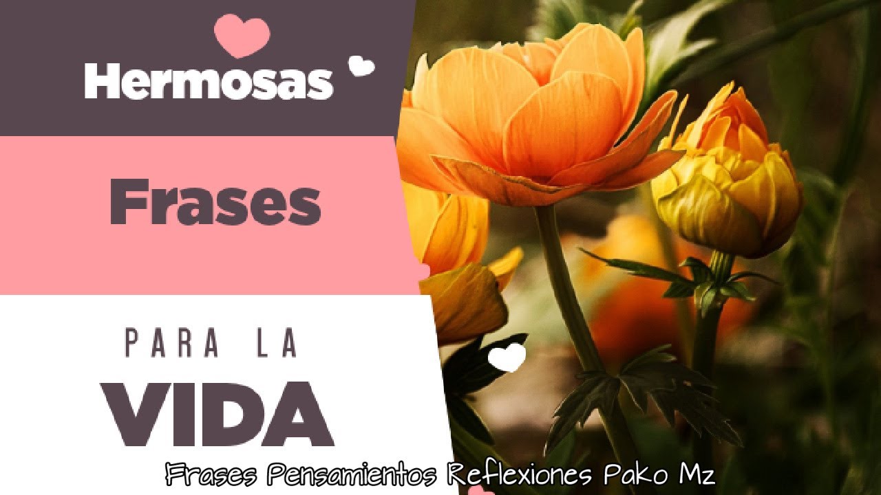 Hermosas Frases Para La Vida | Frases Pensamientos Y Reflexiones Pako ...