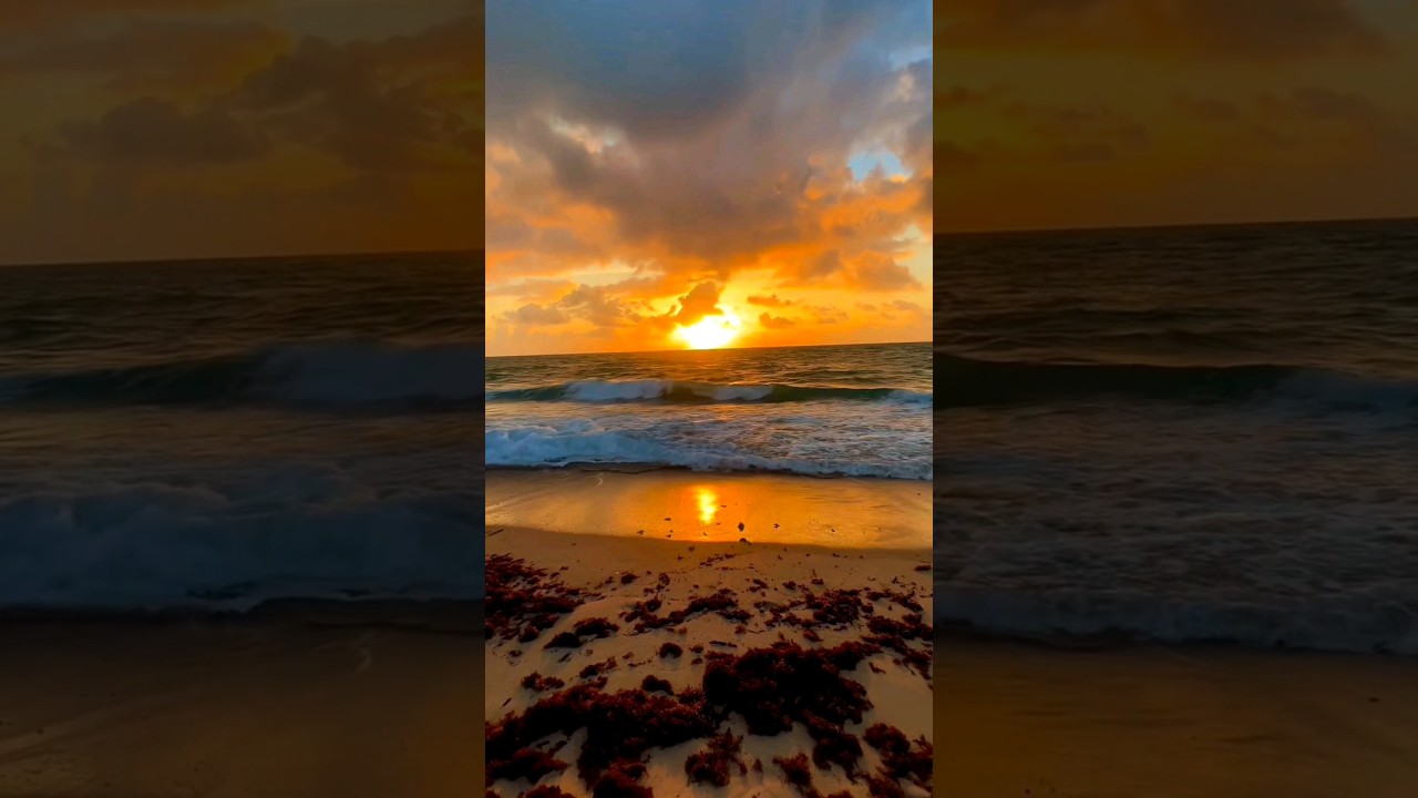Sanset in beach⛱️⛱️ - YouTube