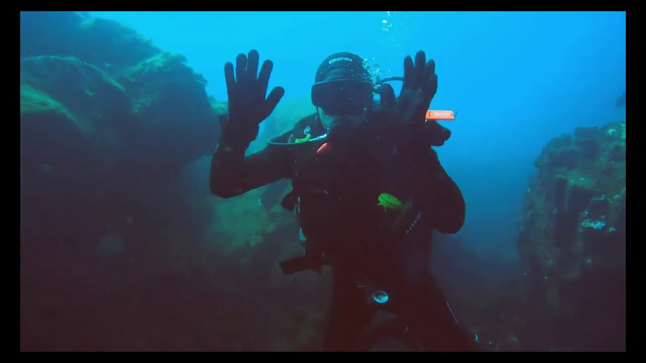 Scuba Diving in Sao Miguel Azores Portugal 🇵🇹 DIVE3🥽 Travel Vlog - YouTube