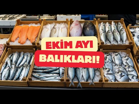 Ekim ayında hangi balıklar tüketilir?🐟 Besin değerleri ve faydaları! #ekimayıbalıkları #omega3