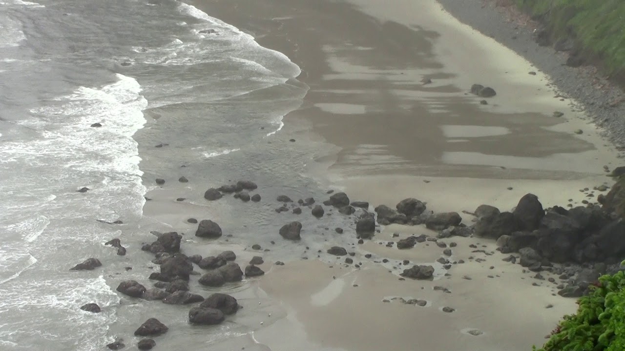 Oregon Coast Highway in June! - YouTube