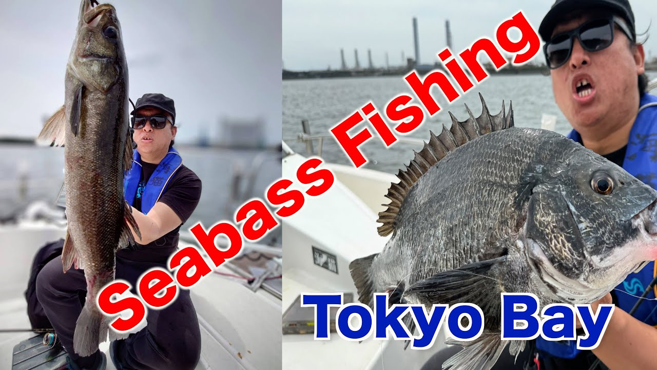His First Fish in Tokyo Bay, JAPAN. - YouTube