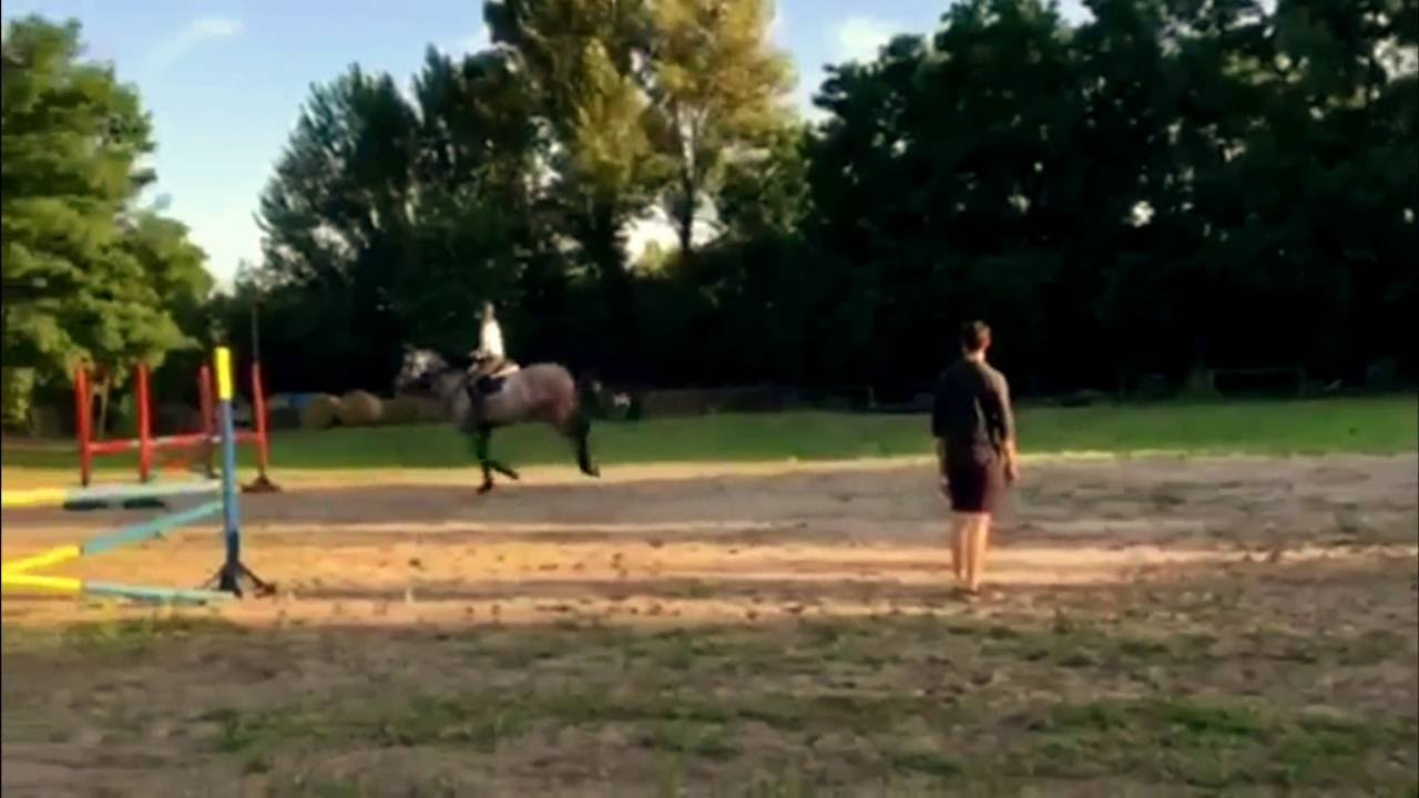 Caracas Training - James Wingrave Edzés - YouTube