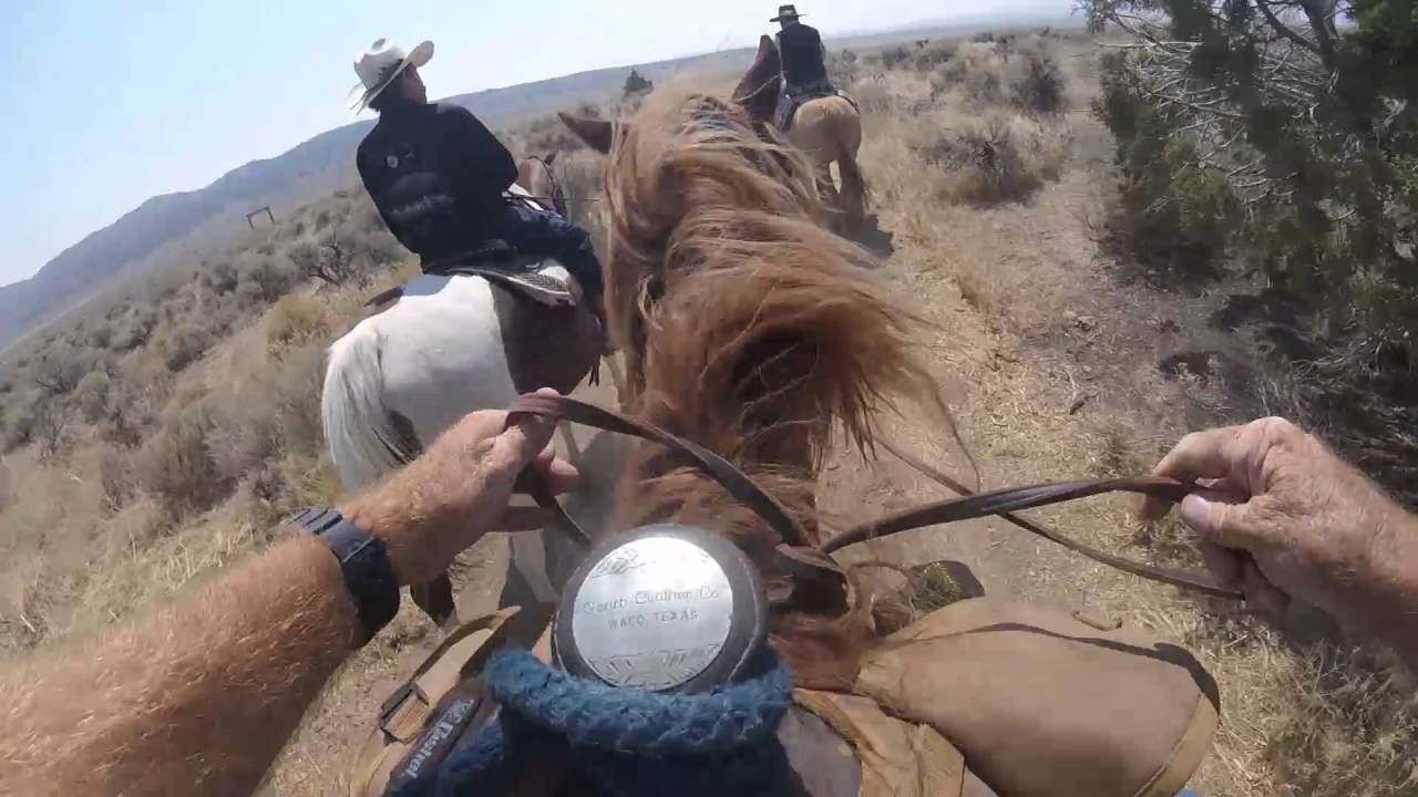 Barney full body shake 08/19/2016 - YouTube