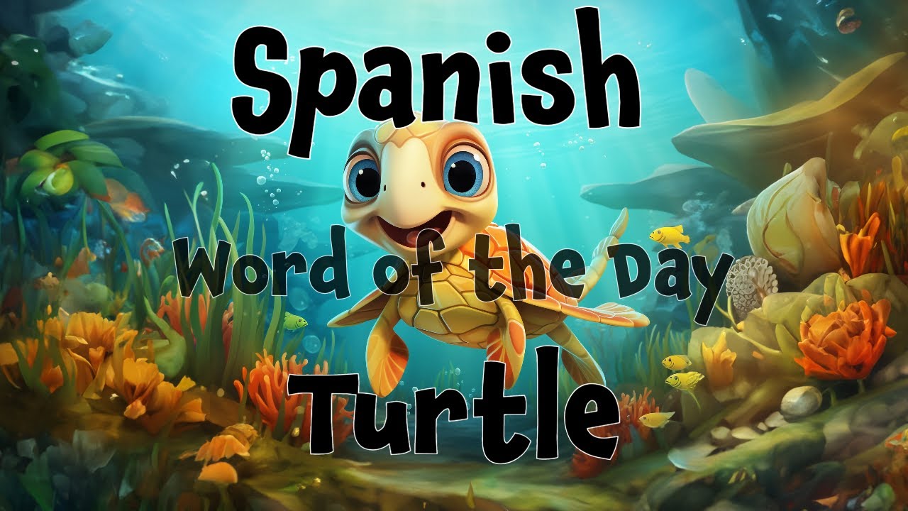 Come Learn The Spanish Word Of The Day YouTube come-learn-the-spanish-word-of-the-day-youtube